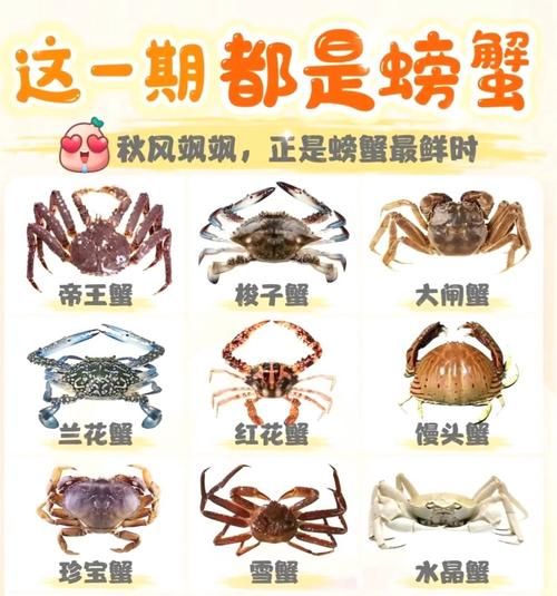 螃蟹的营养价值及功效与作用_吃蟹有哪些禁忌-第3张图片-山城妙识