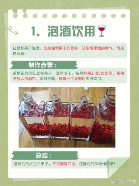 红豆杉果子能吃吗_红豆杉果子泡酒功效-第2张图片-山城妙识