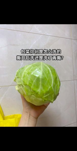 圆白菜馅用焯水吗_不焯水怎么除涩-第3张图片-山城妙识