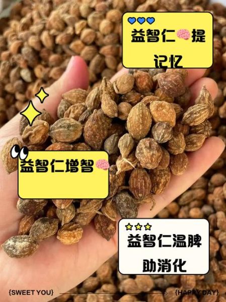 益智仁的功效与作用_益智仁怎么吃效果最好-第2张图片-山城妙识