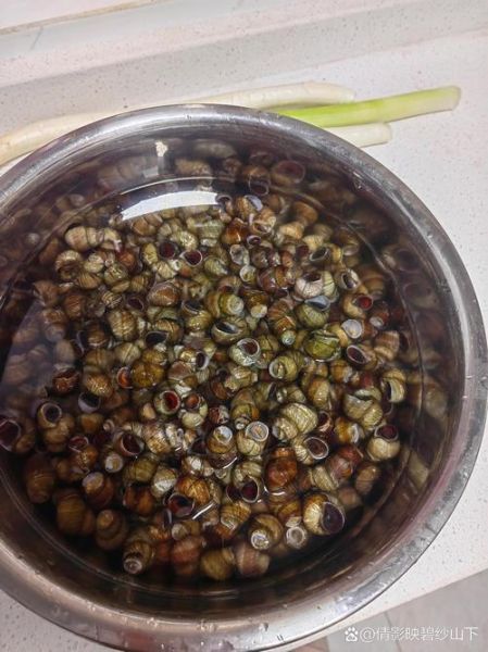 田螺用盐水泡多久会死_盐水浓度多少合适-第1张图片-山城妙识