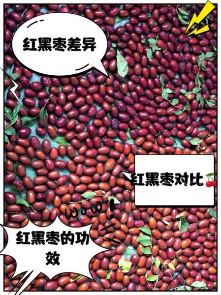 黑枣不能和什么一起吃_黑枣食用禁忌有哪些-第3张图片-山城妙识