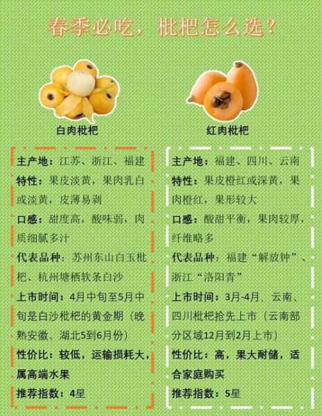 枇杷果实怎么挑选_枇杷果实的功效与作用-第1张图片-山城妙识