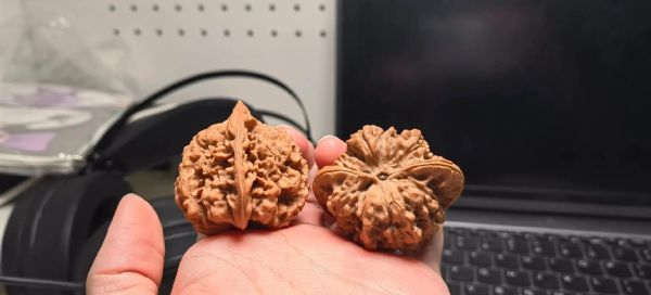 官帽核桃怎么盘_官帽核桃价格多少钱-第1张图片-山城妙识