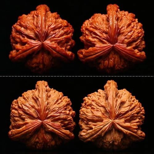 官帽核桃怎么盘_官帽核桃价格多少钱-第2张图片-山城妙识