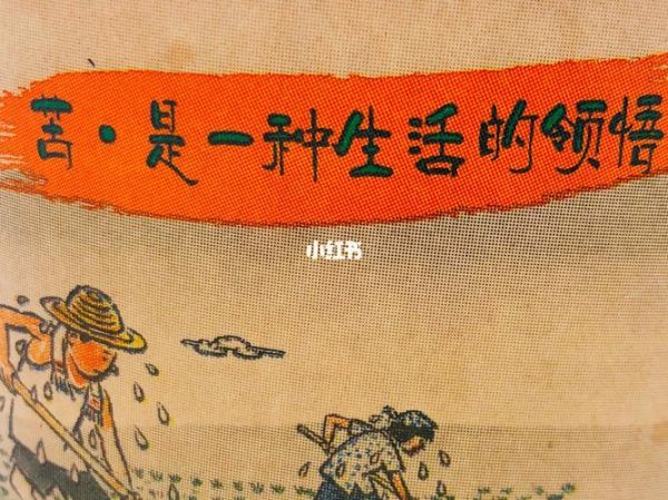 翻滚吧蛋炒饭歌词含义_蛋炒饭歌曲背后故事-第1张图片-山城妙识 翻滚吧蛋炒饭歌词含义_蛋炒饭歌曲背后故事-第1张图片-山城妙识