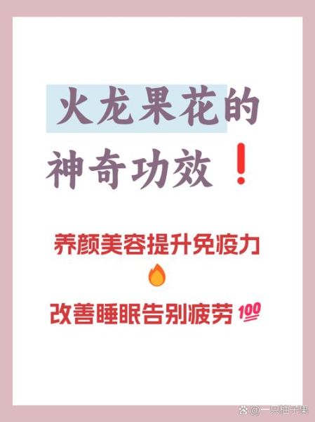 吃火龙果花有什么好处_火龙果花怎么吃才健康-第2张图片-山城妙识
