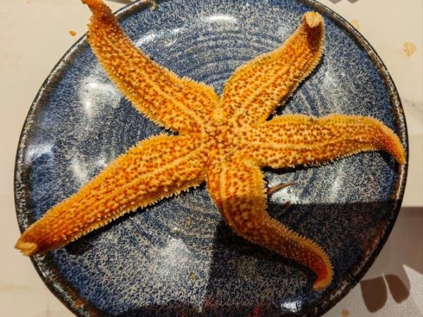 Typhoon Shelter Crab Recipe_How to Cook Authentic Hong Kong Style-第1张图片-山城妙识