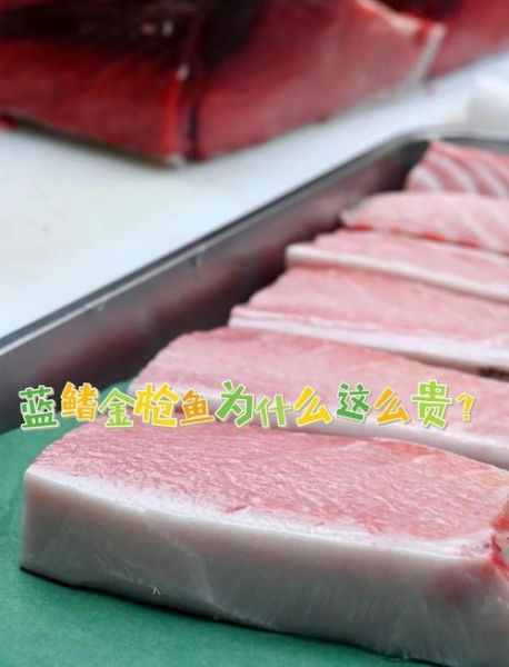 蓝鳍金枪鱼2000万人民_为什么这么贵-第2张图片-山城妙识 蓝鳍金枪鱼2000万人民_为什么这么贵-第2张图片-山城妙识