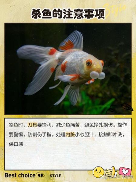 多宝鱼怎么处理干净_多宝鱼宰杀视频教程-第3张图片-山城妙识 多宝鱼怎么处理干净_多宝鱼宰杀视频教程-第3张图片-山城妙识