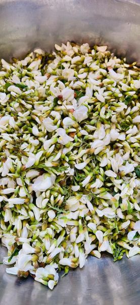 干槐花哪里有卖_干槐花价格多少钱一斤-第2张图片-山城妙识 干槐花哪里有卖_干槐花价格多少钱一斤-第2张图片-山城妙识