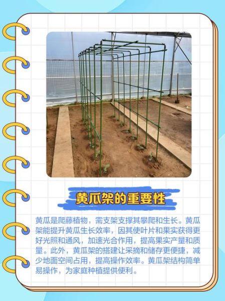 节瓜搭架用什么材料_节瓜搭架方法视频教程-第2张图片-山城妙识 节瓜搭架用什么材料_节瓜搭架方法视频教程-第2张图片-山城妙识