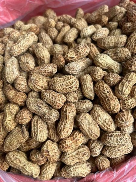 水煮新鲜花生怎么做_水煮花生要煮多久-第3张图片-山城妙识