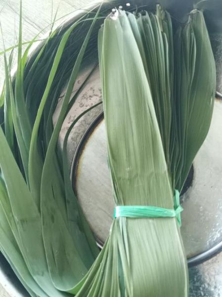 粽子叶煮水喝的功效_粽子叶水能天天喝吗-第1张图片-山城妙识