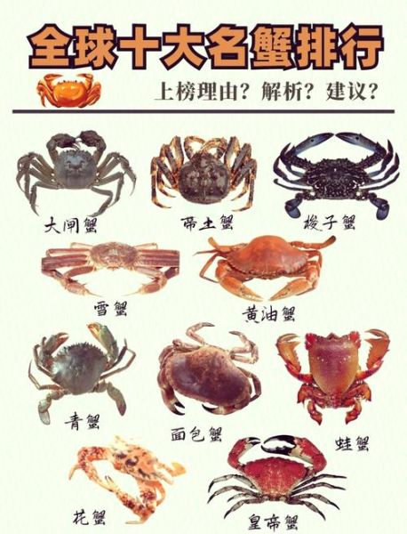 蟹的种类有哪些_如何区分淡水蟹和海水蟹-第1张图片-山城妙识