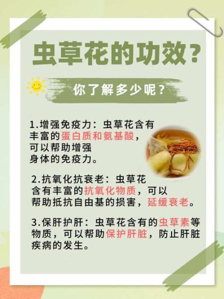 虫草花有什么功效_虫草花图片功效和作用-第2张图片-山城妙识