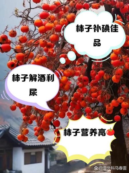 小柿子热量是多少_减肥能吃小柿子吗-第2张图片-山城妙识