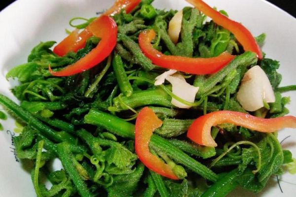 南瓜叶怎么做好吃_南瓜叶的做法大全-第2张图片-山城妙识