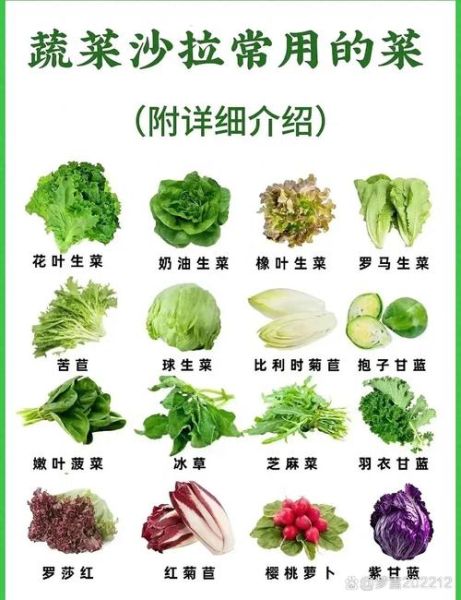 青菜类图片大全_如何快速识别常见品种-第1张图片-山城妙识