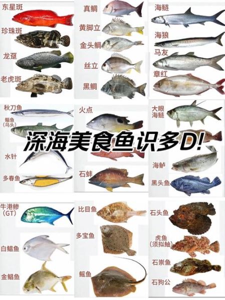 深海鱼种类大全_深海鱼有哪些常见品种-第1张图片-山城妙识