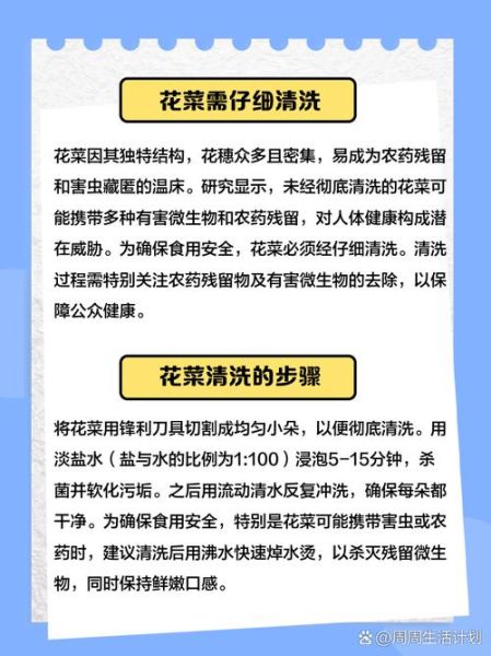 花菜怎么洗干净_花菜清洗的正确方法-第2张图片-山城妙识 花菜怎么洗干净_花菜清洗的正确方法-第2张图片-山城妙识
