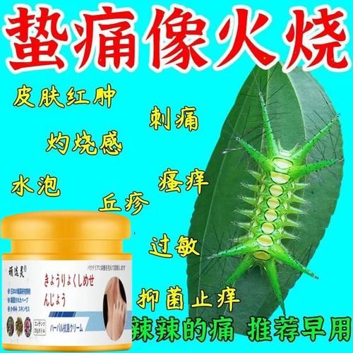 毛毛虫蛰伤怎么缓解疼痛_被毛毛虫蛰了怎么办-第3张图片-山城妙识