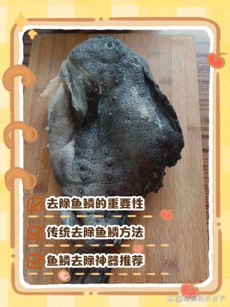 海参斑鱼怎么去鱼鳞_海参斑鱼鳞难刮吗-第1张图片-山城妙识