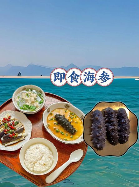 海参吃多久会有效果_海参吃多久见效-第3张图片-山城妙识