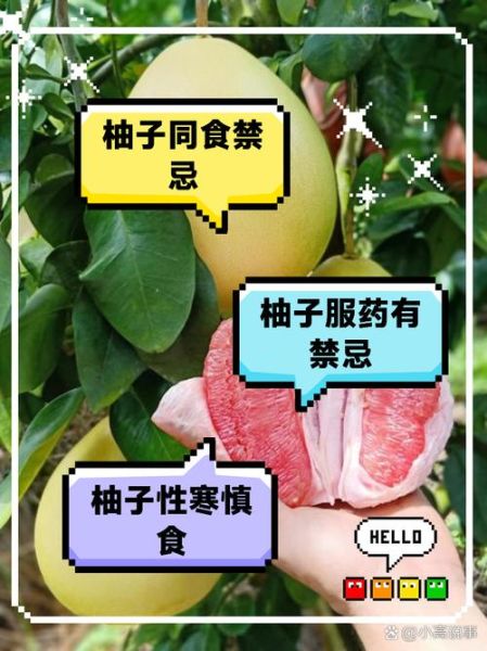 吃柚子的好处和坏处有哪些_吃柚子会上火吗-第3张图片-山城妙识