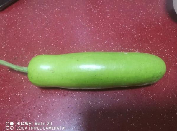 胡瓜的功效与作用_胡瓜怎么吃最营养-第2张图片-山城妙识