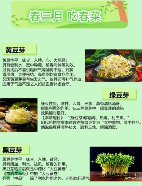 豆芽菜怎么发_豆芽菜的营养价值-第1张图片-山城妙识 豆芽菜怎么发_豆芽菜的营养价值-第1张图片-山城妙识