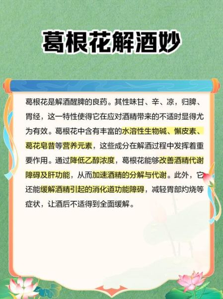葛花的作用与功效禁忌_葛花泡水喝的正确方法-第2张图片-山城妙识