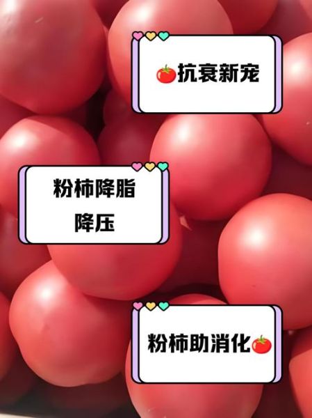 番茄粉的作用与功效_番茄粉怎么吃效果最好-第3张图片-山城妙识