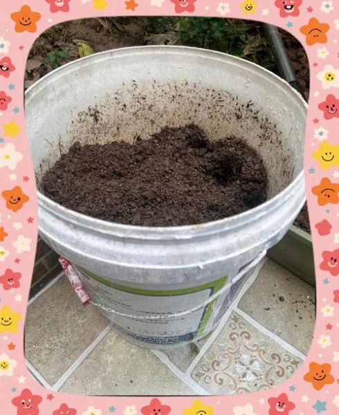 豆渣可以直接做肥料吗_豆渣沤肥方法-第1张图片-山城妙识