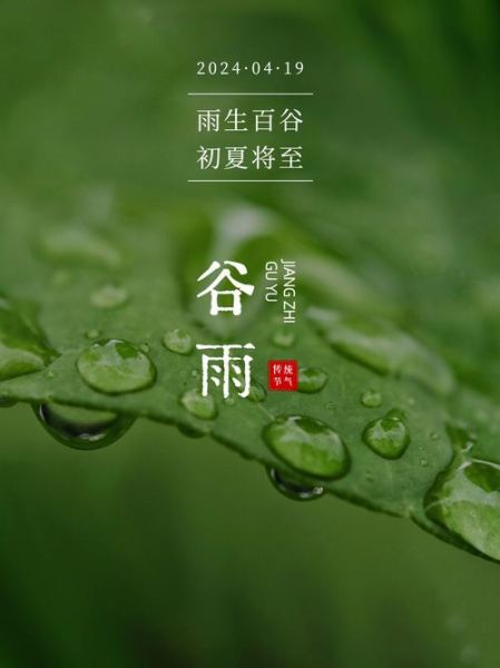 谷雨节气吃什么传统食物_谷雨时节必吃的时令美味-第3张图片-山城妙识