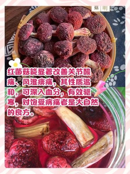 红菌菇的功效与作用_红菌菇怎么吃效果最好-第2张图片-山城妙识
