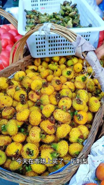 刺梨多少钱一斤_刺梨价格为什么差别大-第1张图片-山城妙识