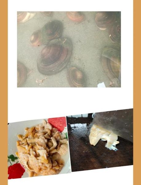 小河蚌肉怎么炒好吃_小河蚌肉炒前怎么处理-第2张图片-山城妙识
