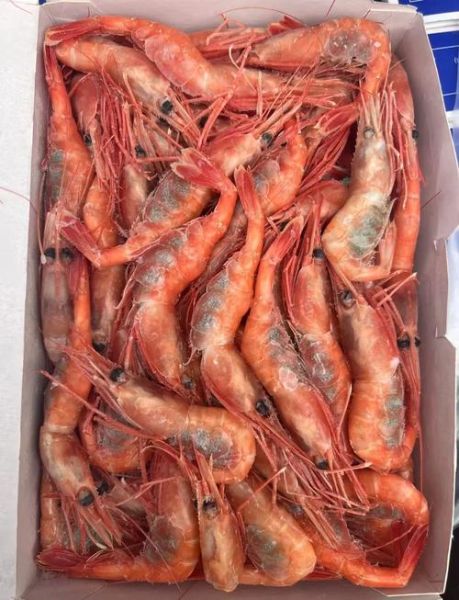 甜虾刺身怎么选_甜虾刺身孕妇能吃吗-第1张图片-山城妙识