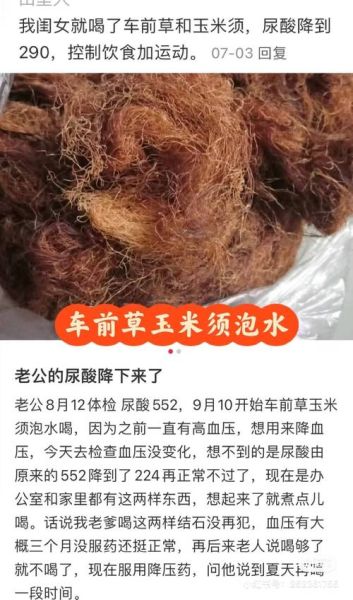 玉米须加什么治痛风_玉米须配什么降尿酸-第3张图片-山城妙识 玉米须加什么治痛风_玉米须配什么降尿酸-第3张图片-山城妙识