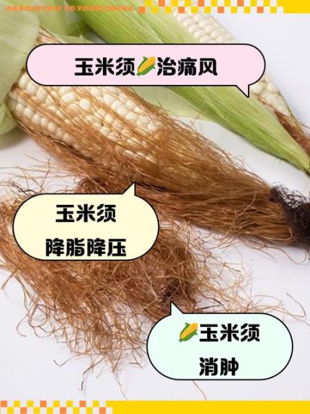 玉米须加什么治痛风_玉米须配什么降尿酸-第2张图片-山城妙识 玉米须加什么治痛风_玉米须配什么降尿酸-第2张图片-山城妙识