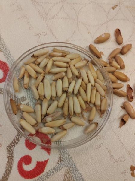 松仁多少钱一斤_松仁价格为什么差距大-第2张图片-山城妙识