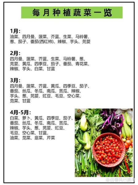 常见蔬菜种类大全_哪些蔬菜适合家庭种植-第3张图片-山城妙识