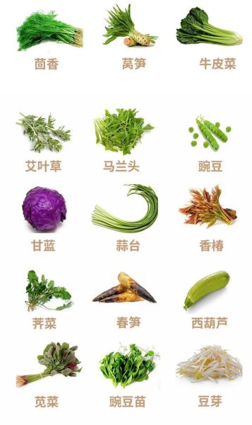 常见蔬菜种类大全_哪些蔬菜适合家庭种植-第2张图片-山城妙识