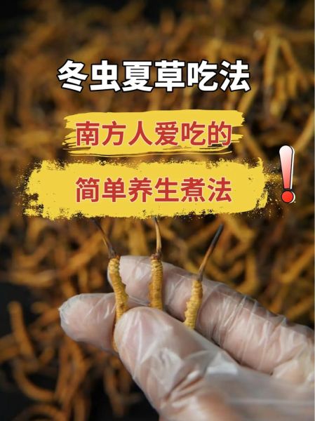 冬虫夏草能治什么病_怎么吃效果最好-第3张图片-山城妙识