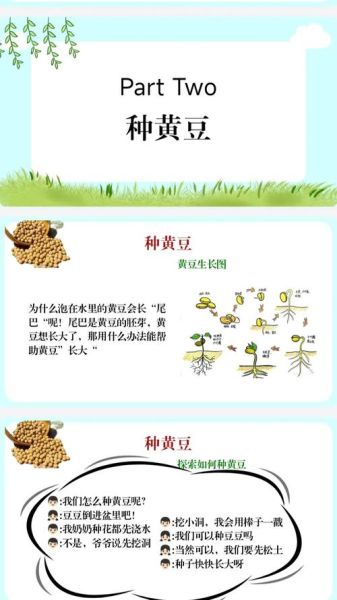 豆姓起源_豆姓历史渊源-第2张图片-山城妙识 豆姓起源_豆姓历史渊源-第2张图片-山城妙识