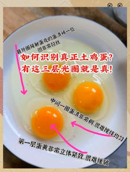 假鸡蛋煮熟啥样_假鸡蛋煮熟后真假对比-第2张图片-山城妙识 假鸡蛋煮熟啥样_假鸡蛋煮熟后真假对比-第2张图片-山城妙识