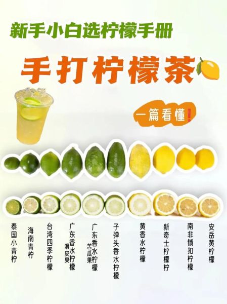 一颗柠檬茶怎么做_柠檬茶做法步骤-第1张图片-山城妙识 一颗柠檬茶怎么做_柠檬茶做法步骤-第1张图片-山城妙识