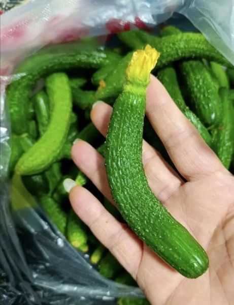 酱菜的做法大全_酱菜怎么腌制才脆爽-第3张图片-山城妙识