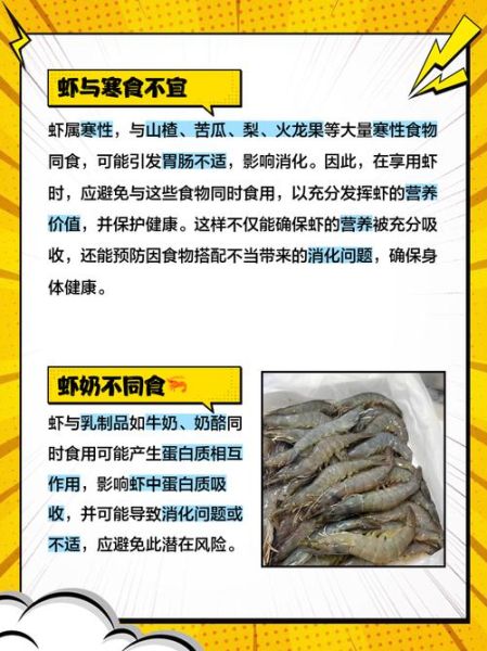 养虾风险大吗_新手养虾失败原因-第2张图片-山城妙识 养虾风险大吗_新手养虾失败原因-第2张图片-山城妙识